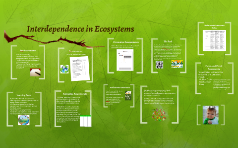 Interdependence in Ecosystems by Laura Fischer on Prezi