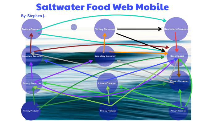Saltwater Food Web by Stephen Jeyakumar on Prezi