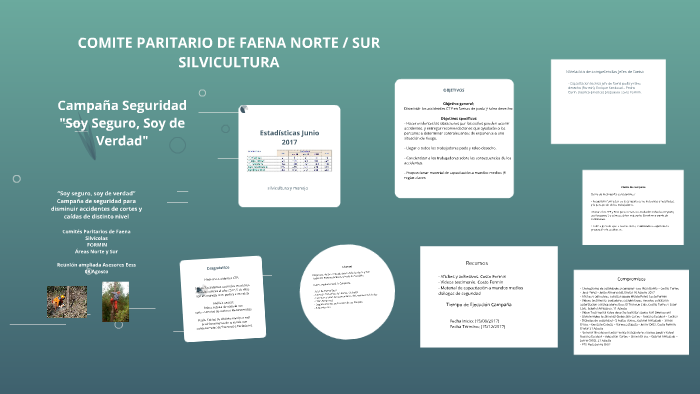 INSPECCION CRUZADA CUMBRES/ SERFONAC by JONNY ALEXIS ORTIZ PULGAR on Prezi