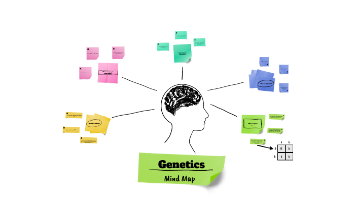 Genetics Mind Map by Toben Jules on Prezi