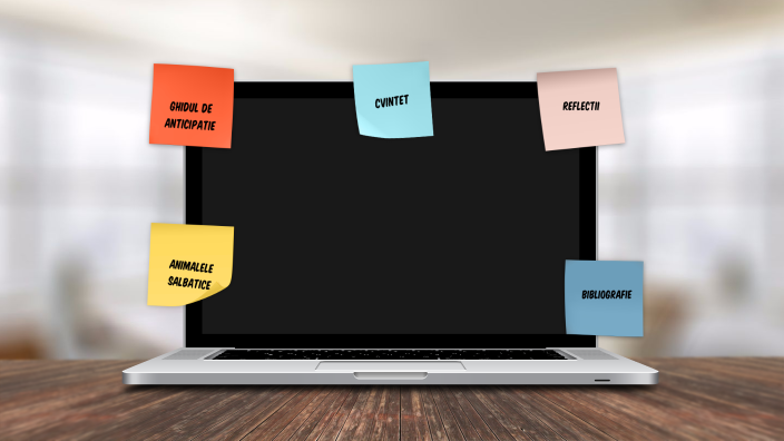 TMI by Maria-Paula Codrea on Prezi