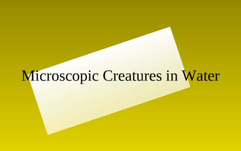 Microscopic Creatures in Water by Rockrimmon Elementary