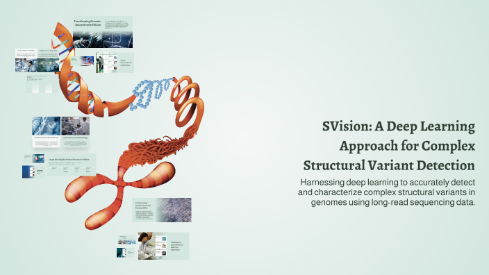 SVision: A Deep Learning Approach for Complex Structural Variant Detection by Bouchra ...
