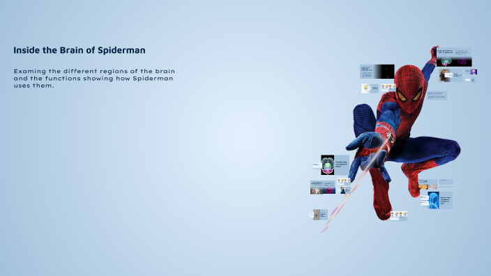 Exploring the Brain: Spiderman's Superpower Regions by Wilson Few on Prezi