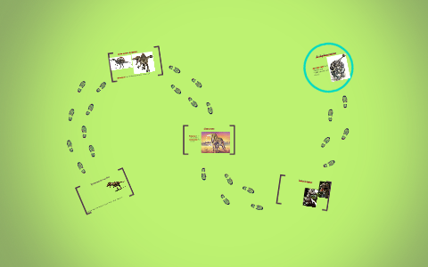 Spinosaurus Aegypicus by Drew Cerny on Prezi