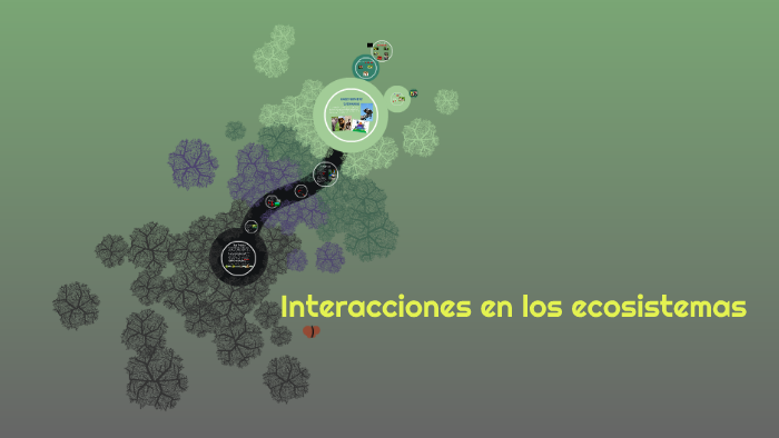 Interracciones en los ecosistemas by Isabella Collado on Prezi