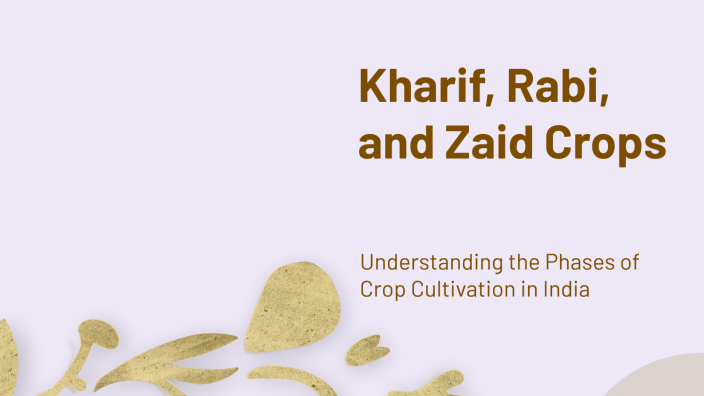 Kharif, Rabi, and Zaid Crops by Basheer Nizami on Prezi