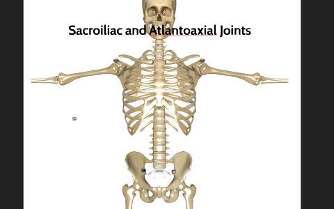 Structural Anatomy of Atlanto-Axial Joint by Lindsey O'Sullivan on Prezi