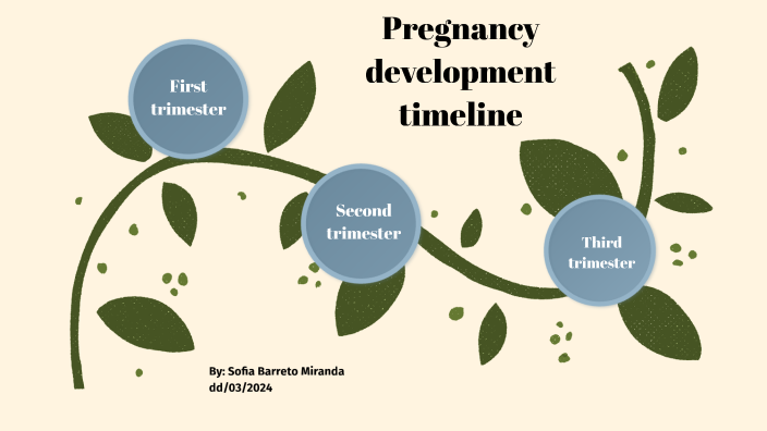 Pregnancy development timeline by Sofía Simone Barreto Miranda on Prezi