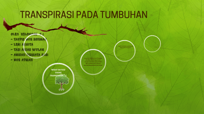 TRANSPIRASI PADA TUMBUHAN by taufik nur on Prezi