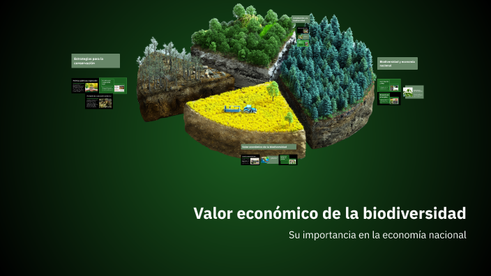 Valor Económico De La Biodiversidad By Nelson Chuquihuanca Yacsahuanca
