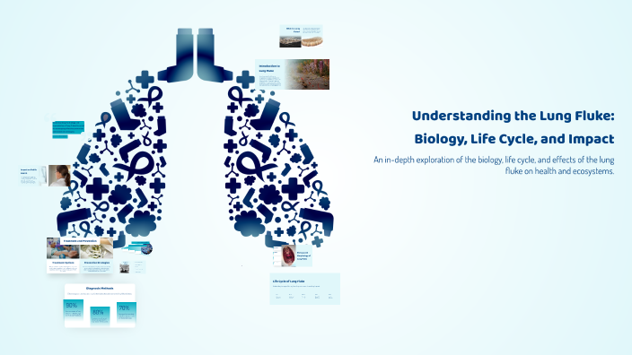 Understanding the Lung Fluke: Biology, Life Cycle, and Impact by on Prezi
