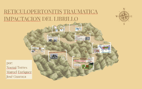 RETICULOPERTONITIS TRAUMATICA by Nohemi Torres on Prezi