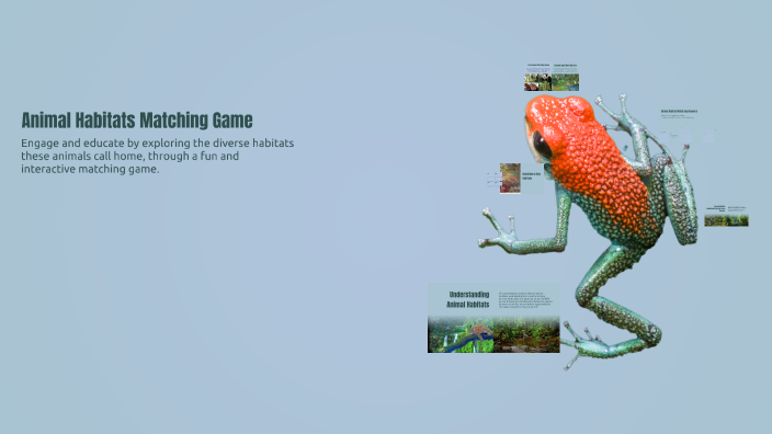 Animal Habitats Matching Game by Sophie Adams on Prezi