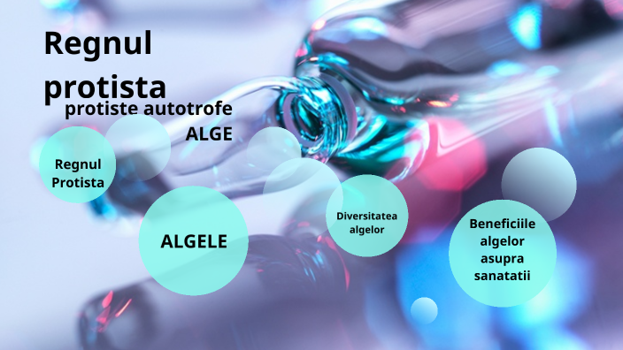 regnul protista by Andreea Cazacu on Prezi