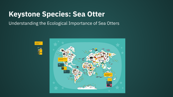 Keystone Species: Sea Otter by Francisco Lopez on Prezi