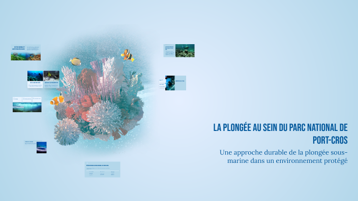 La plongée au sein du parc national de Port-Cros by Clémentine Reverier ...