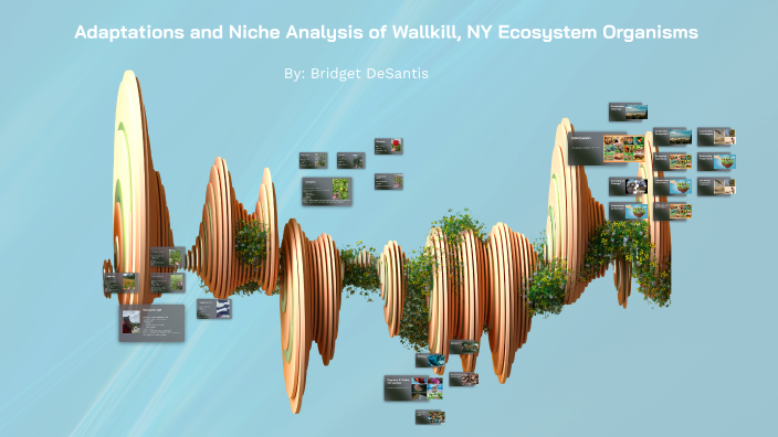 Adaptations and Niche Analysis of Wallkill, NY Ecosystem Organisms by ...