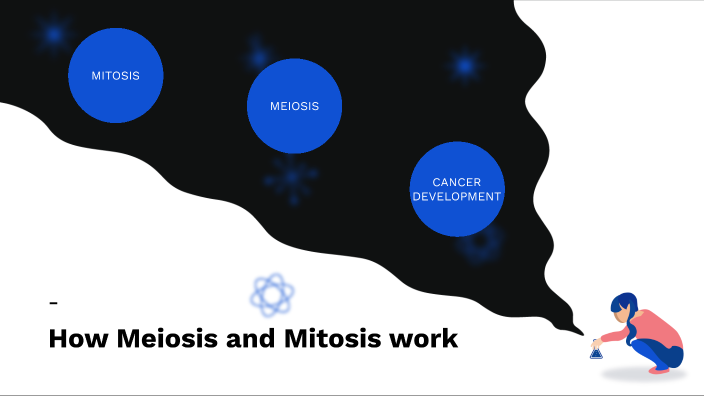 How Meiosis and Mitosis work by Alex Raposo on Prezi