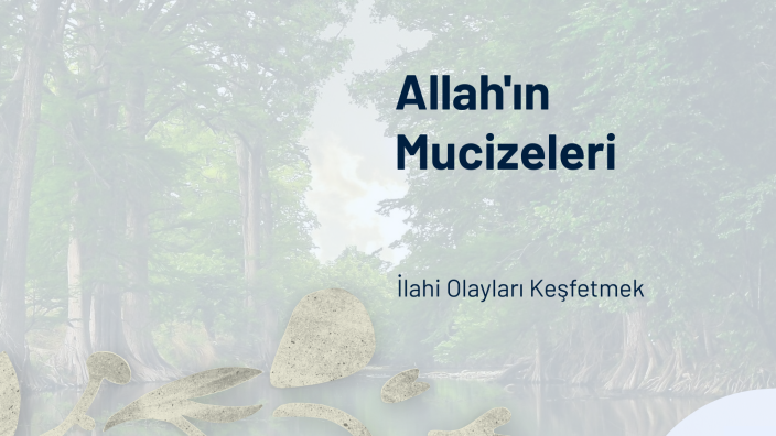 The Miracles of Allah by Muhammed erkal AY on Prezi