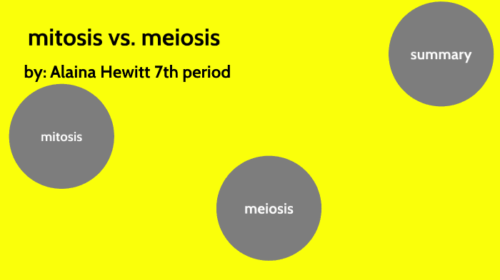 mitosis vs meiosis project by ALAINA HEWITT on Prezi