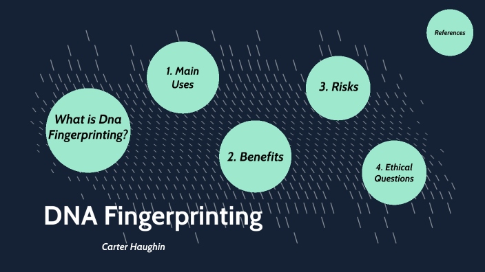DNA Fingerprinting by carter haughin on Prezi