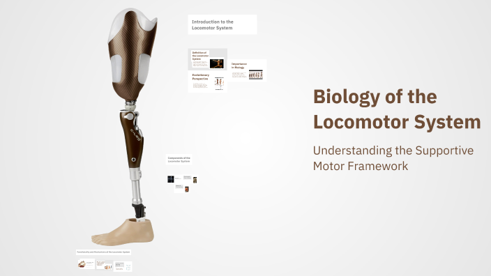 Biology of the Locomotor System by talant Tajibaev on Prezi