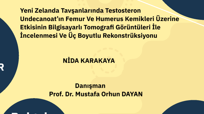 1YENİ ZELANDA TAVŞANLARINDA TESTOSTERON UNDECANOAT’IN FEMUR VE HUMERUS ...