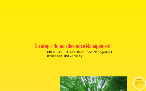 Strategic Human Resources: The HR Tree by Laura Galloway on Prezi