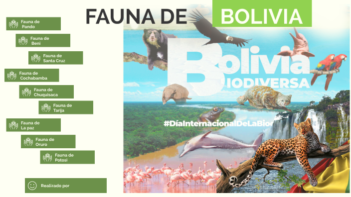 Fauna de Bolivia by Kennet Limberth Llanos Martinez on Prezi