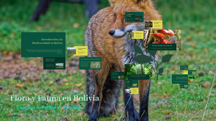 Flora y Fauna en Bolivia by Anderson poma on Prezi
