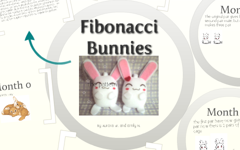 Fibonacci Bunnies by Aurora Wang on Prezi