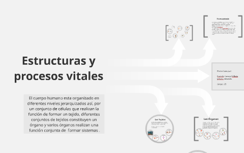 Estructuras y procesos vitales by Daniela Carvajal Villada on Prezi
