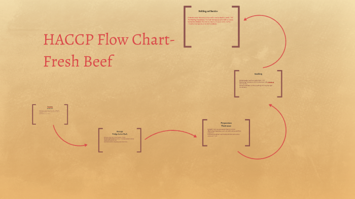 HACCP Flow Chart- Fresh Beef by emerald cruz