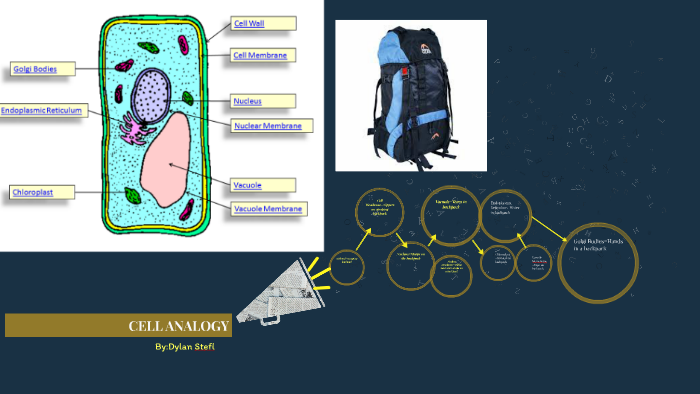 CELL ANALOGY by Dylan Stefl on Prezi