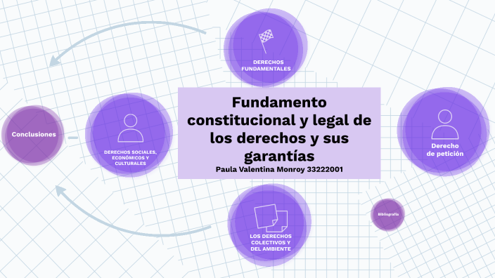 Fundamento constitucional y legal de los derechos y sus garantías by ...