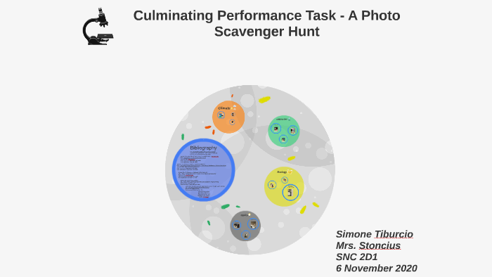 Culminating Performance Task - A Photo Scavenger Hunt by simone ...