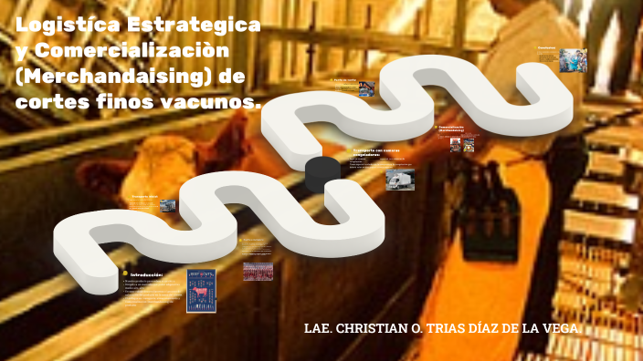 Logística planeada estratégica-mente de almacenamiento y merchandaising ...