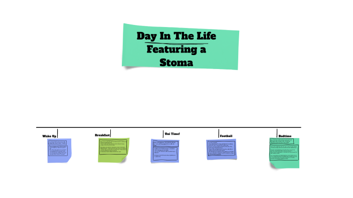 Day in the life of Jason by Kiera Canavan on Prezi