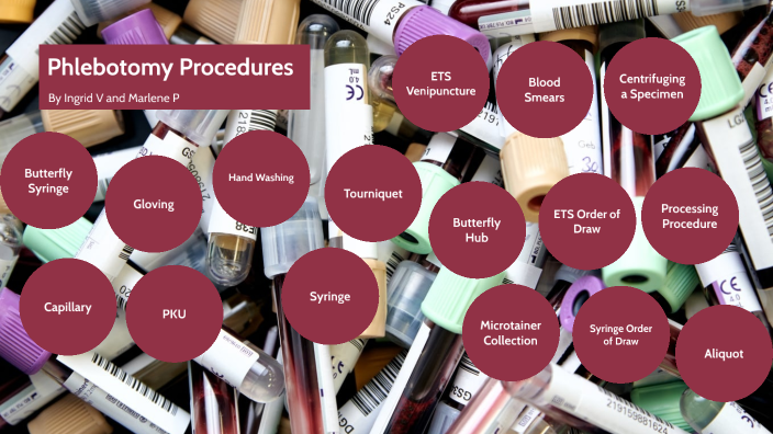 Intro to Phlebotomy Procedures by Marlene Preciado on Prezi