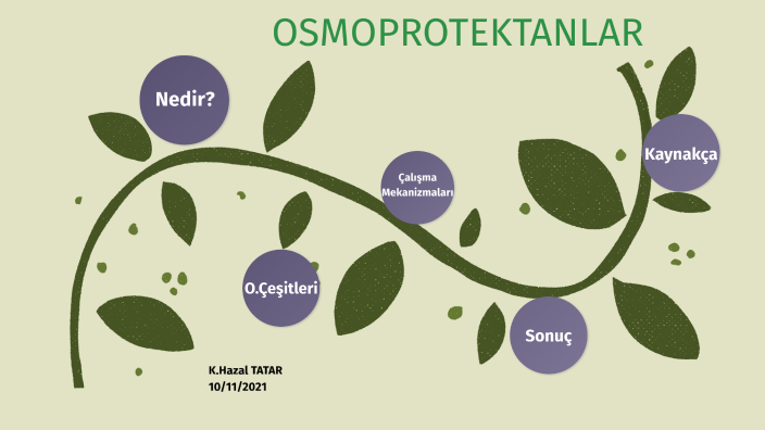 Osmoprotectants by Hazal Tatar on Prezi