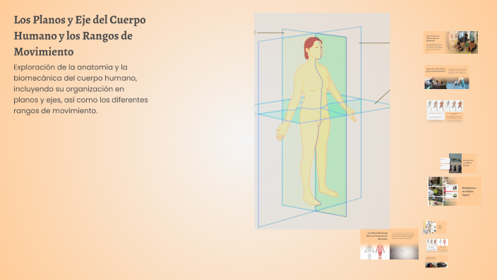 Los Planos y Eje del Cuerpo Humano y los Rangos de Movimiento by Laura ...