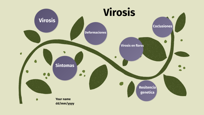 virosis by JOSE MEDARDO MU OZ AGUIRRE on Prezi