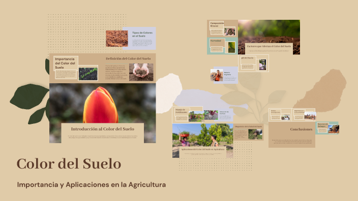 Color del Suelo by Kevin Fernando Feijoo Atoche on Prezi
