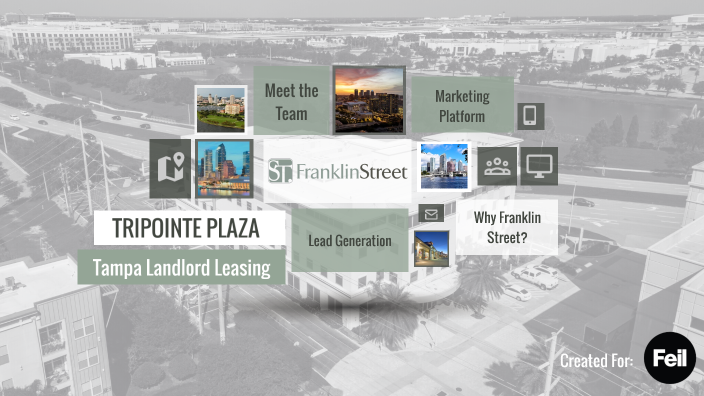 The Feil Organization by Cassidy McNaughton on Prezi