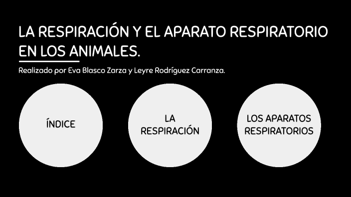 LA RESPIRACIÓN Y EL APARATO RESPIRATORIO EN LOS ANIMALES. by Leyre on Prezi