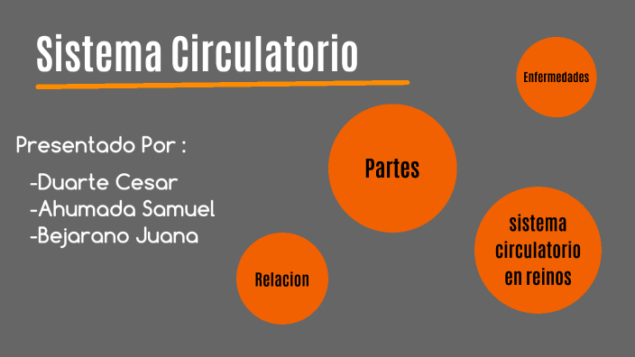 Sistema Circulatorio by Juana Bejarano on Prezi