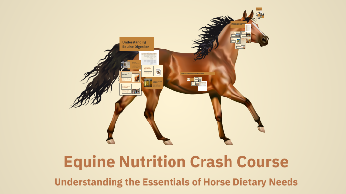 Equine Nutrition Crash Course by Lauren Gottlieb on Prezi