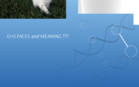 O-O FACES and MEANING !!!! by