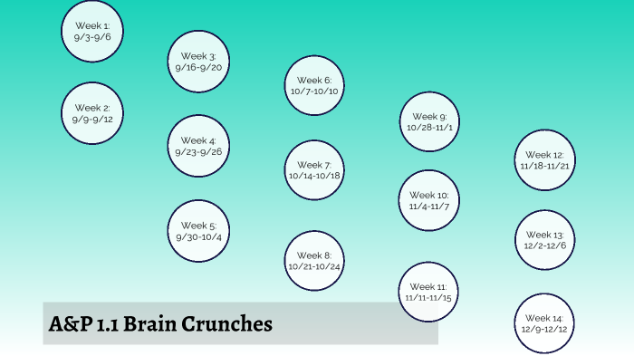 A&P 1.1 Brain Crunches by Aprill Van Ausdal on Prezi